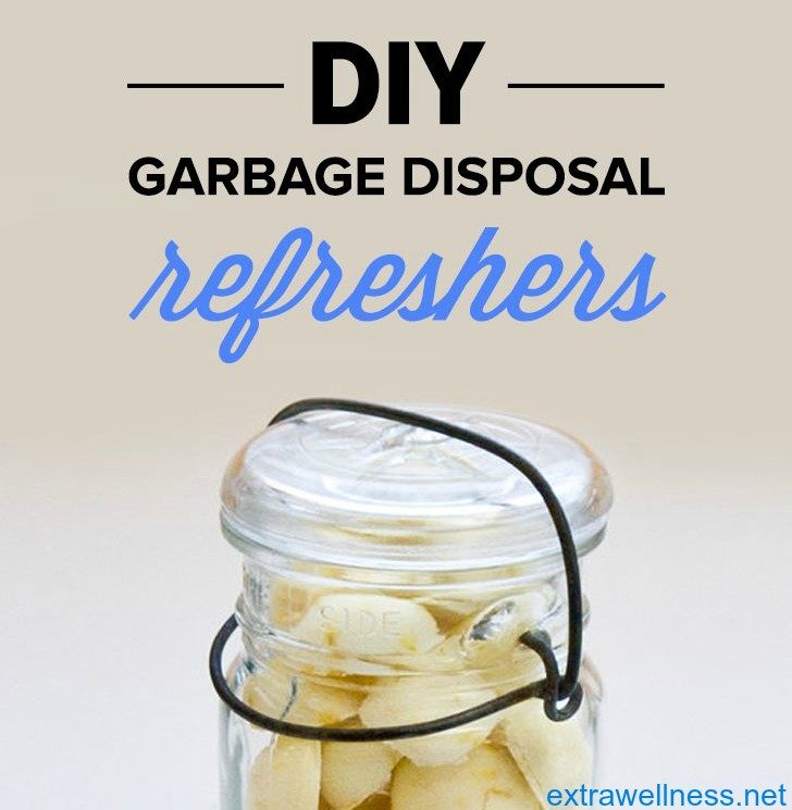 Insanely Clever DIY Garbage Disposal Refreshers